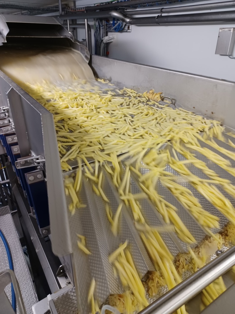 Key ADR 4 Automatic Defect Removal System for french fries • Duijndam ...