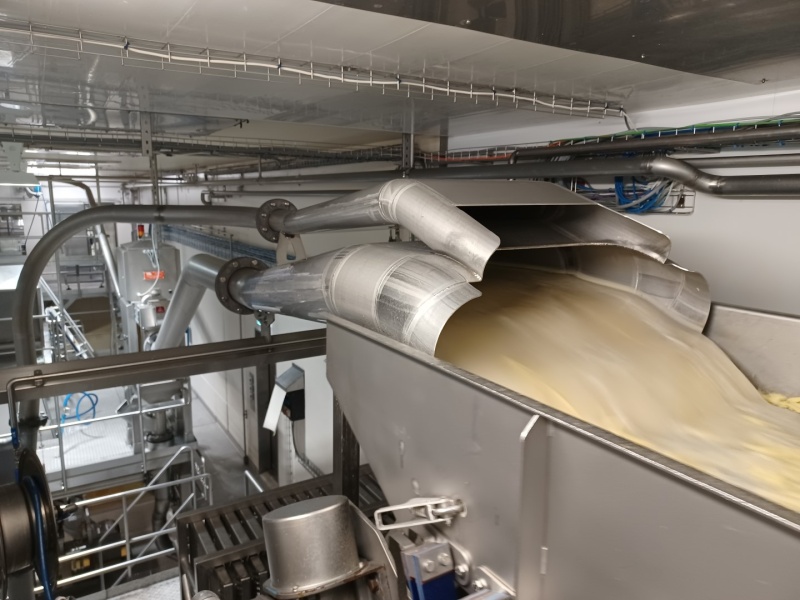 Key ADR 4 Automatic Defect Removal System for french fries • Duijndam ...