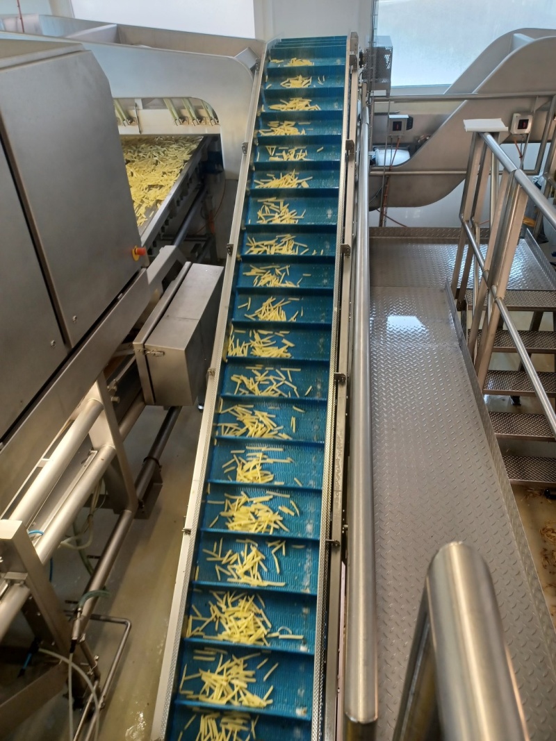 Key ADR 4 Automatic Defect Removal System for french fries • Duijndam ...