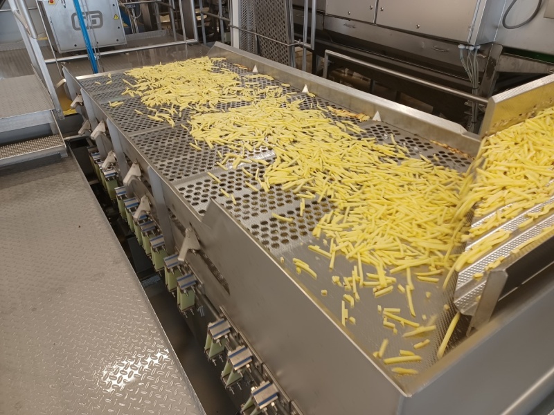 Key ADR 4 Automatic Defect Removal System for french fries • Duijndam ...