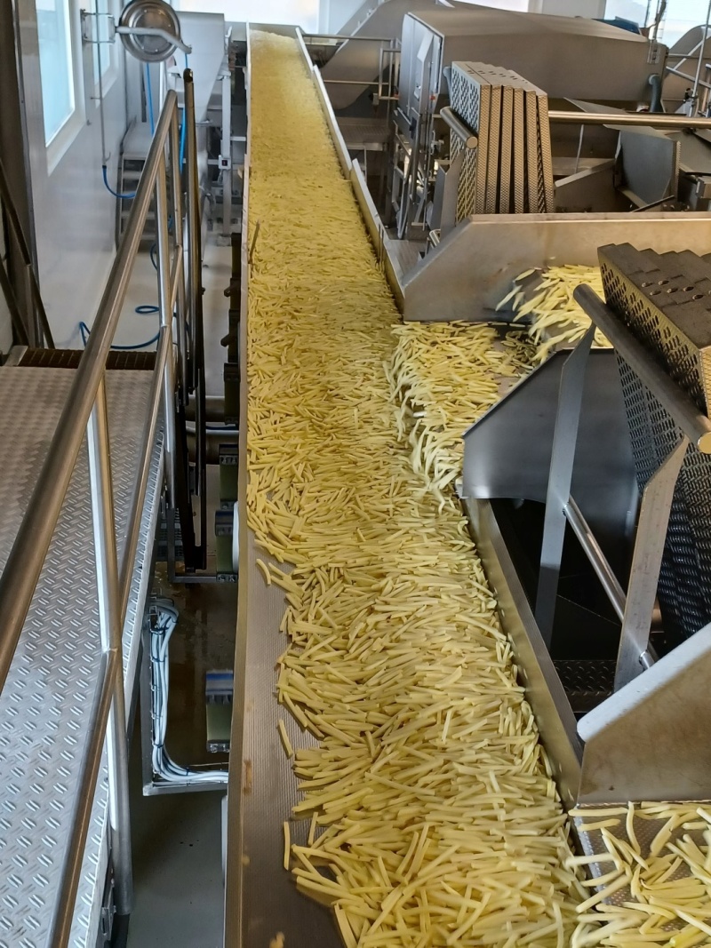 Key Optyx optical grader for french fries on quality • Duijndam Machines