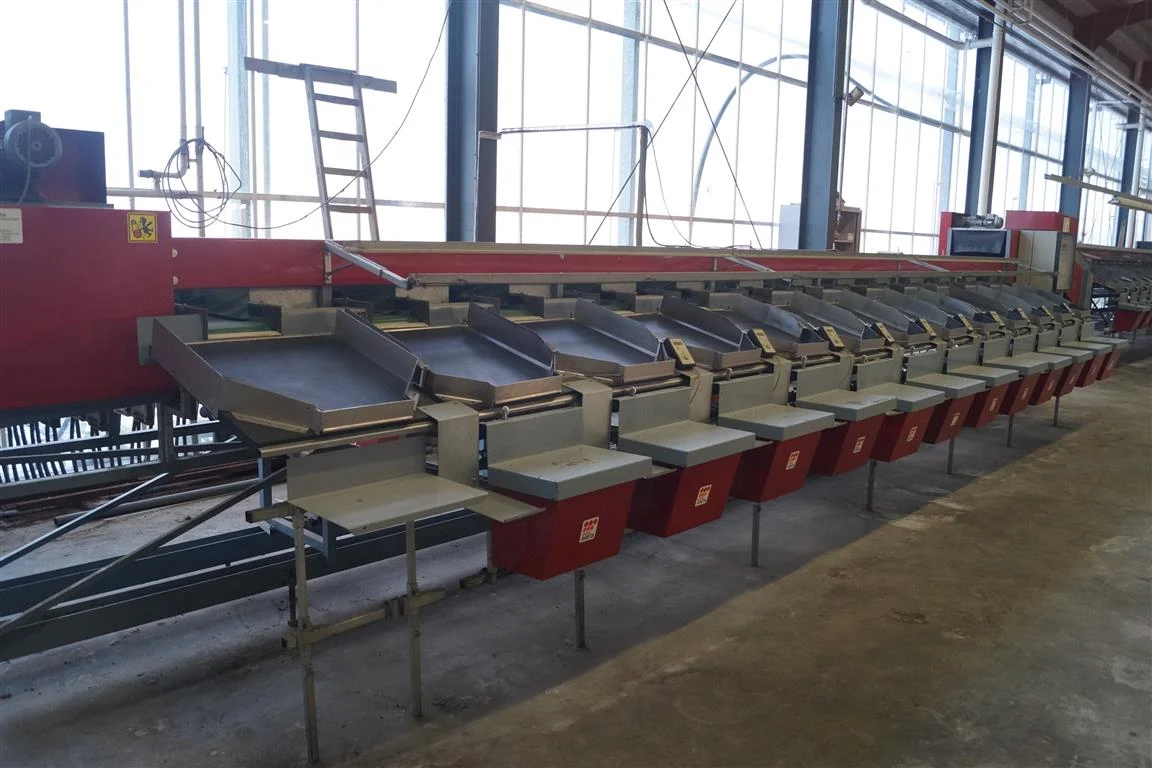 Aweta KG2- 12 +1 weight and colour sorting machine for tomatoes ...