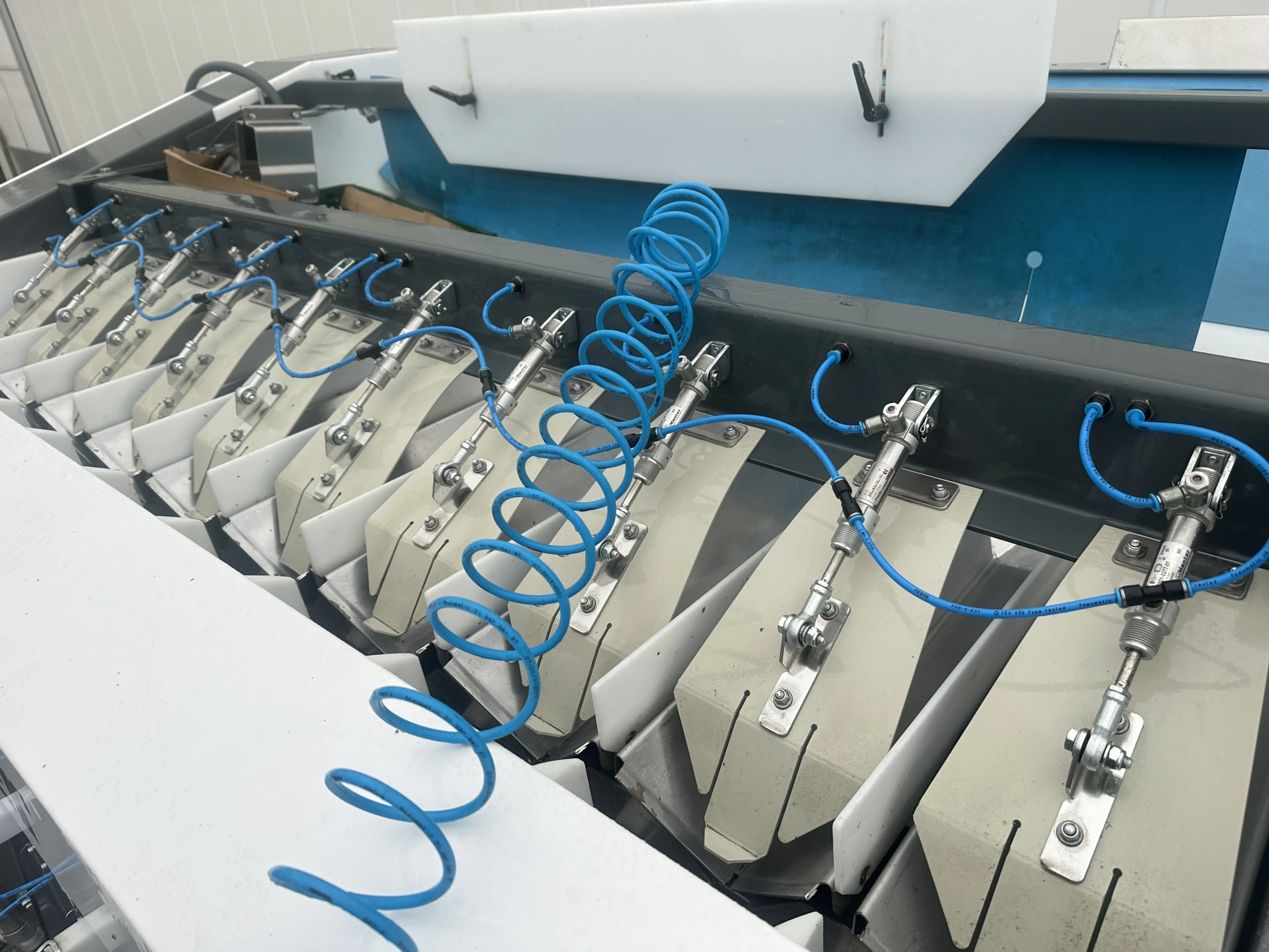 Manter M10 L weighing machine with infeed elevator, buffer box filler ...