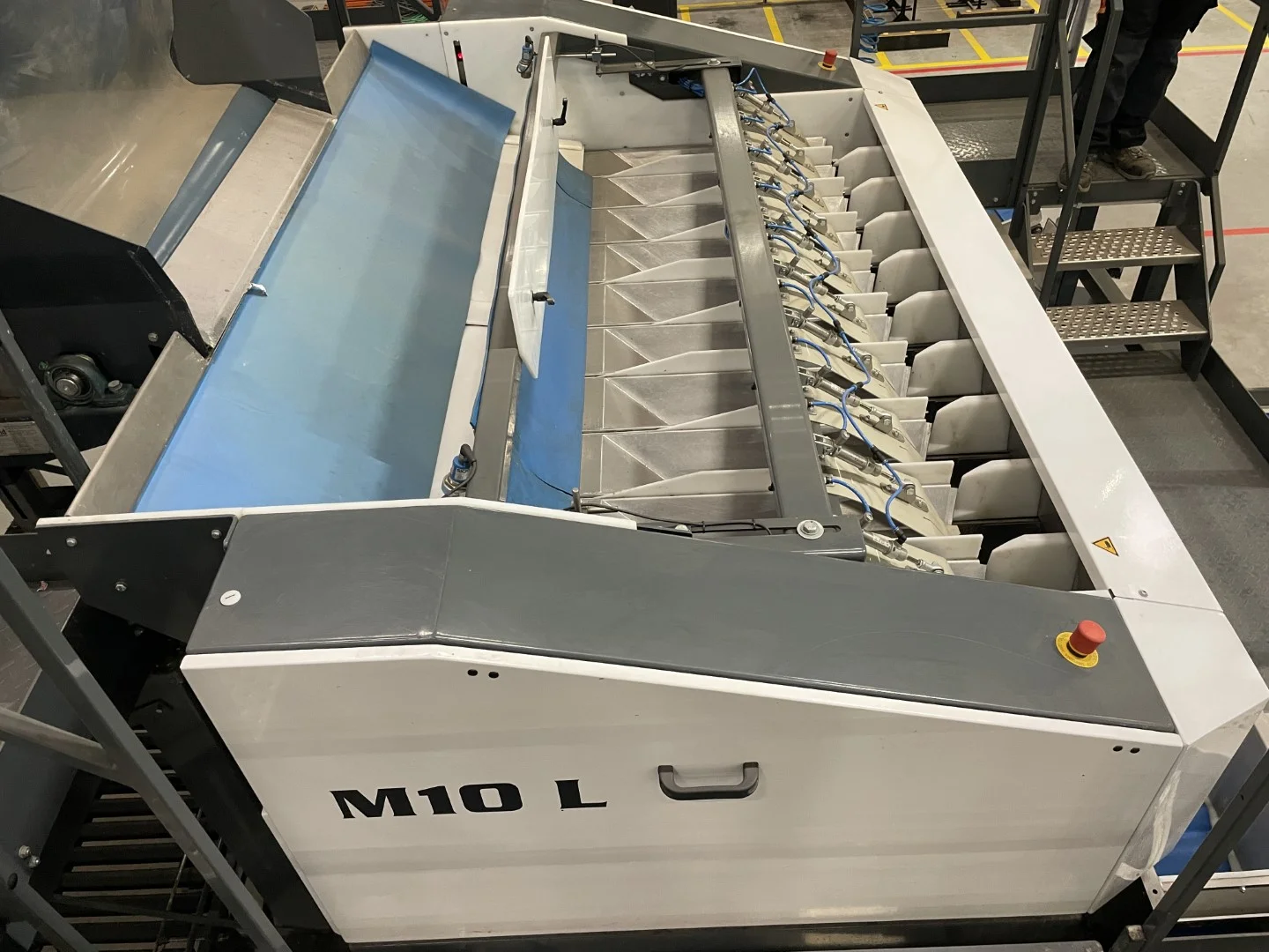 Manter M10 L weighing machine with infeed elevator, buffer box filler ...