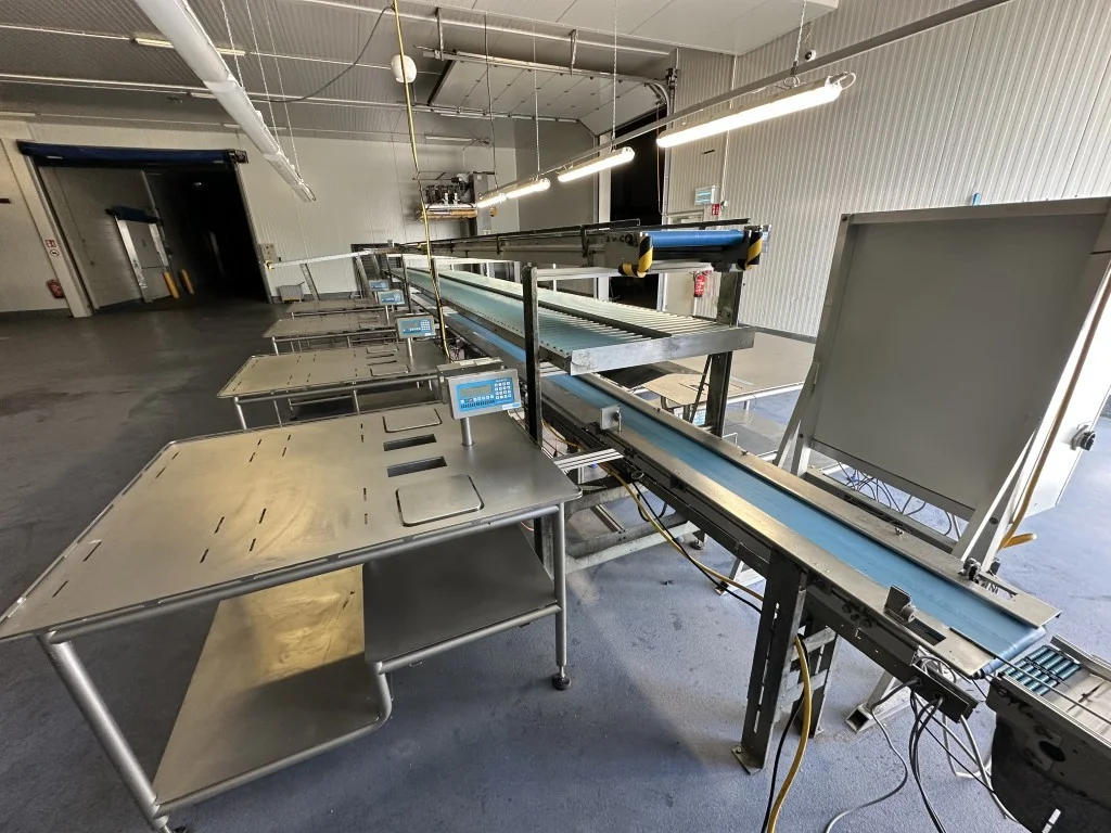 Martin Stolze Combi conveyor production and packaging line with 8 Marco ...