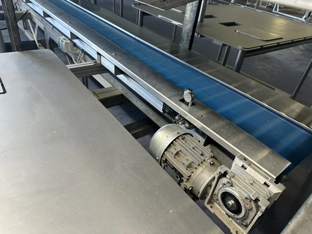 Martin Stolze Combi conveyor production and packaging line with 8 Marco ...