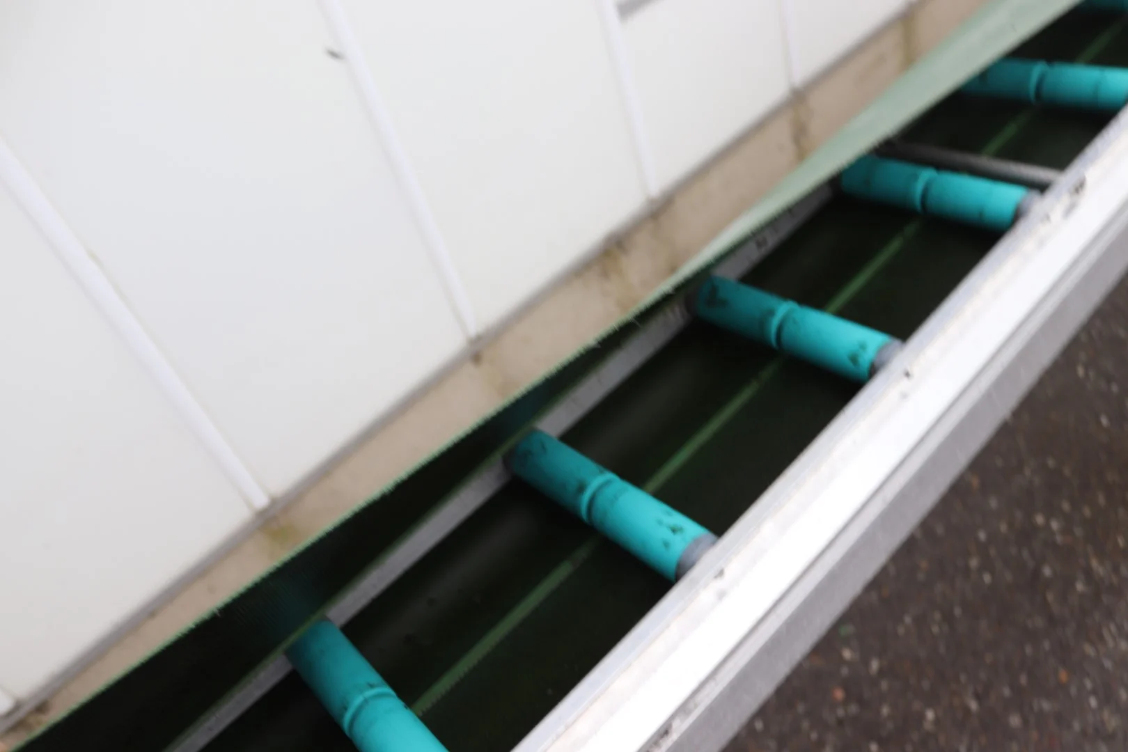 Martin Stolze potplant conveyor transport system with adjustable speed ...