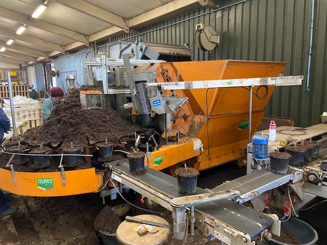 Mayer 2020 potting machine with potdispenser • Duijndam Machines