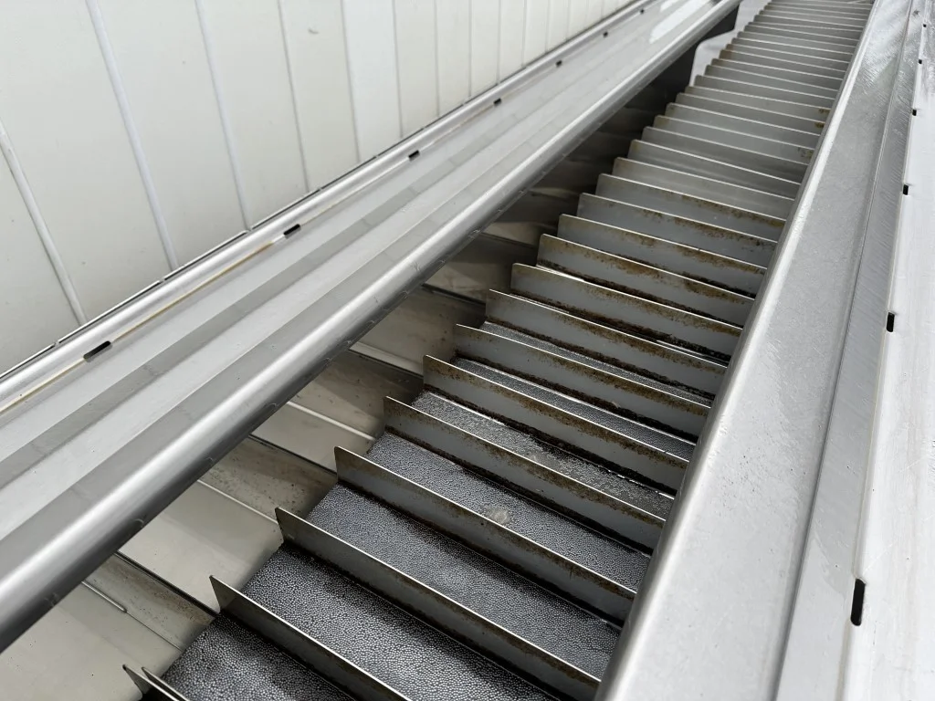 Neubauer S20 asparagus sorting machine • Duijndam Machines