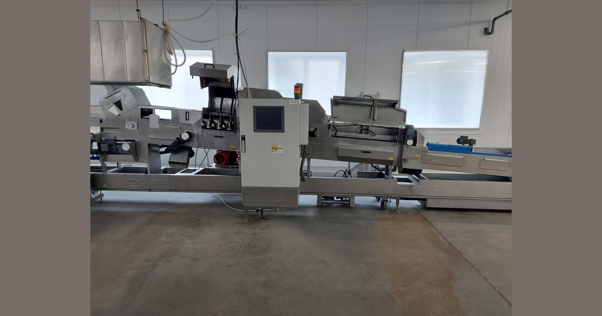 Neubauer Espaso SEC 60 grading and weighing machine for green asparagus ...