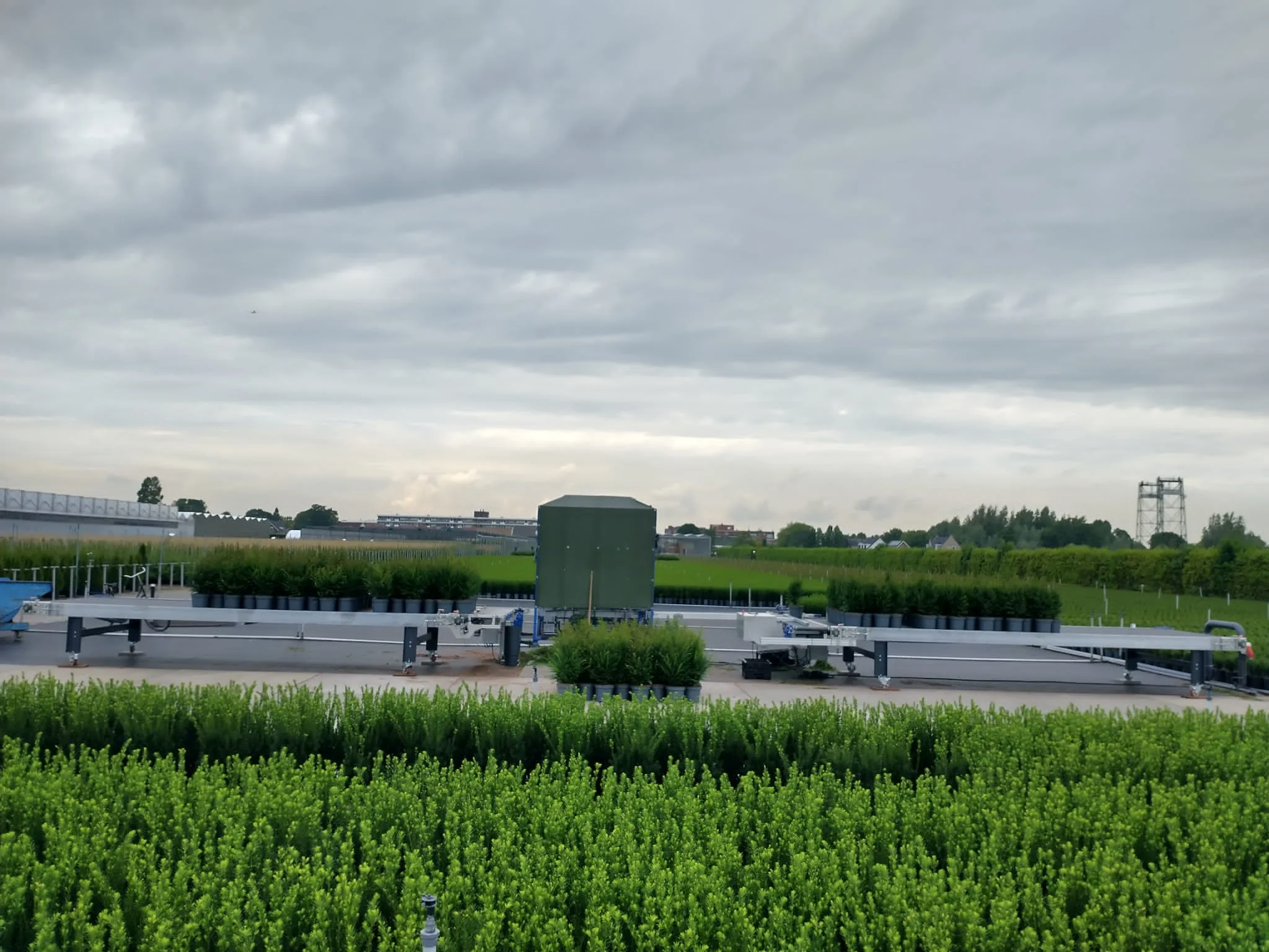 New buffer conveyor with pusher for potplants and trays • Duijndam Machines