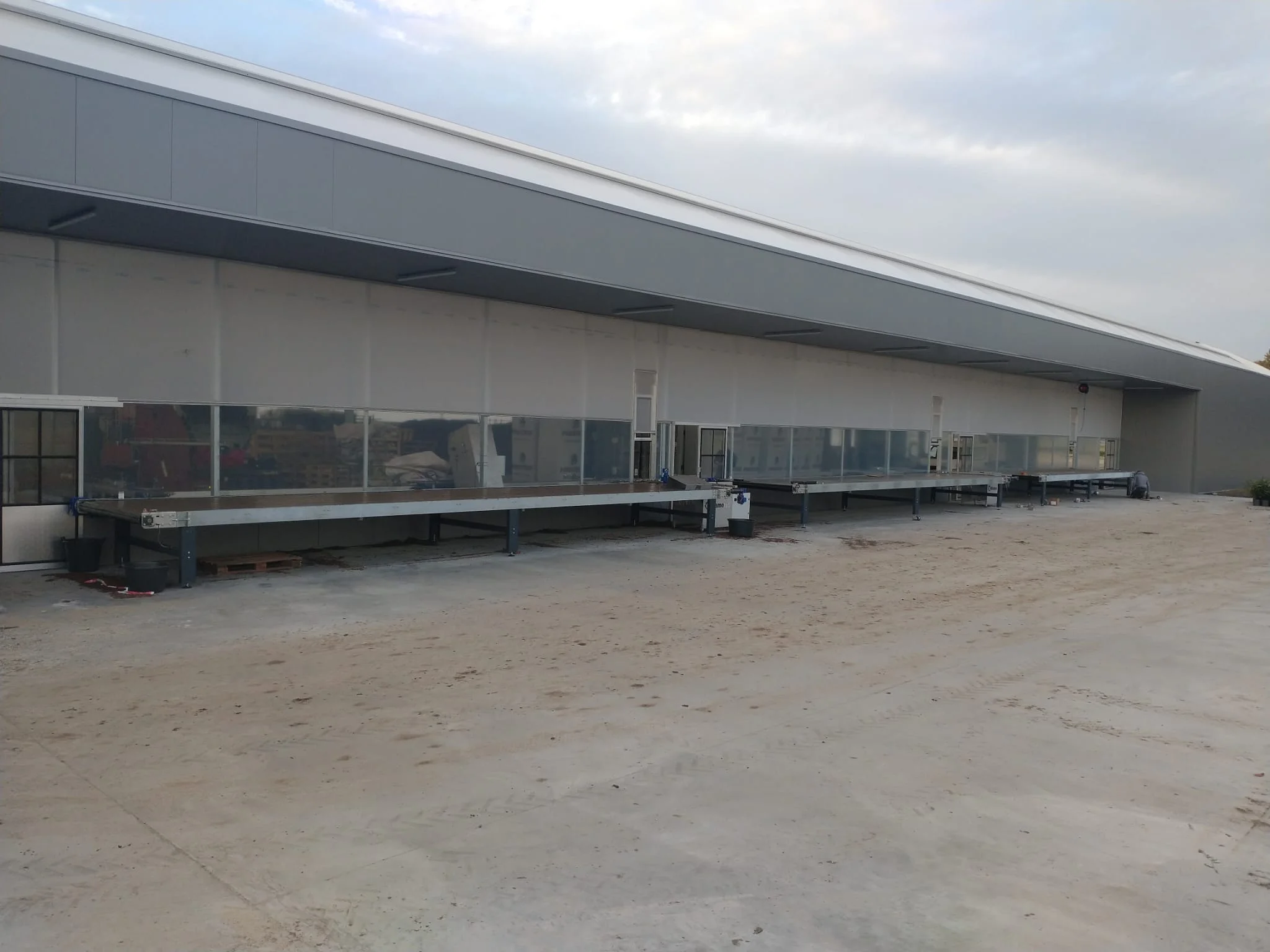 New buffer conveyor with pusher for potplants and trays • Duijndam Machines