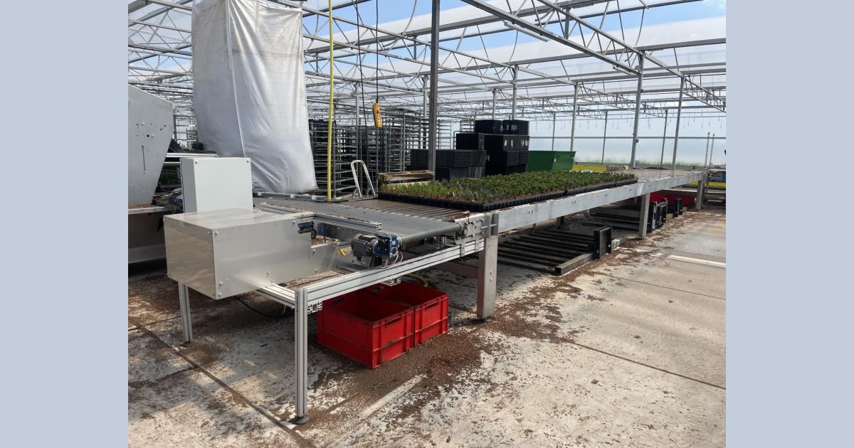 New buffer conveyor with pusher for potplants and trays • Duijndam Machines