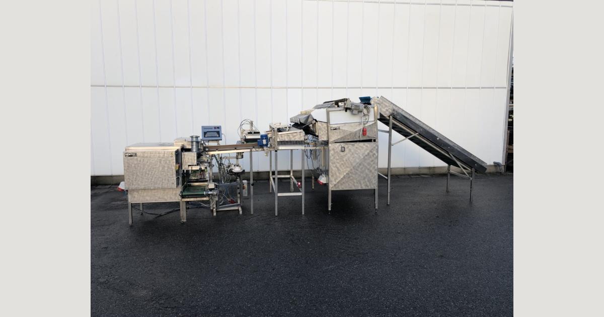 Newtec 2014A weigher with PEB 40AE wicketed bagger for apples ...
