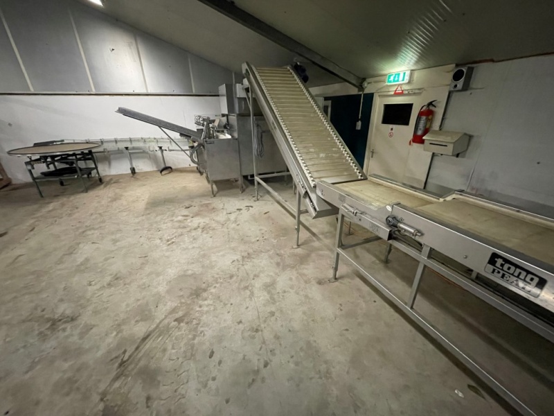 Newtec and Tong Peal weighing and packaging line for punnets • Duijndam ...