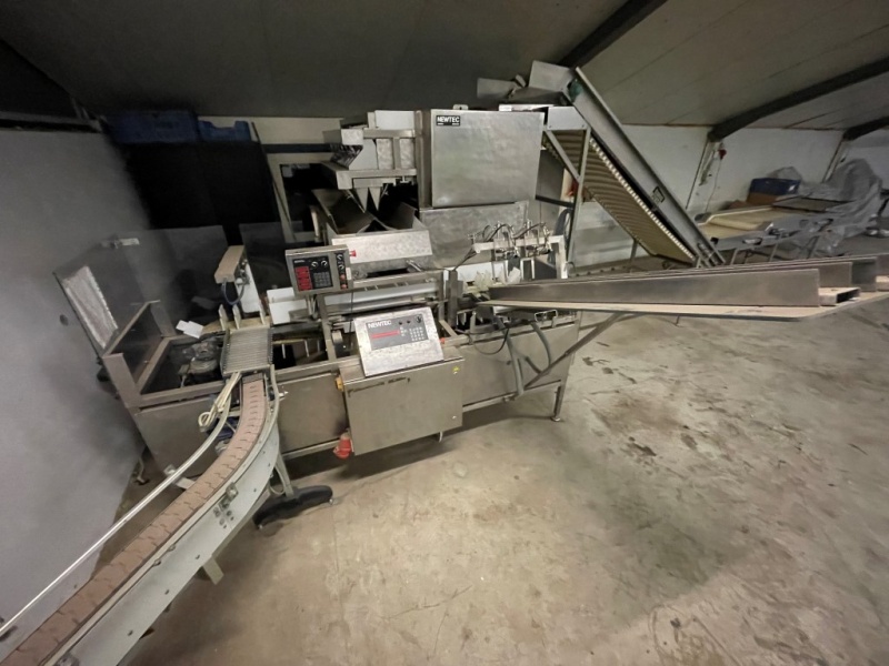 Newtec and Tong Peal weighing and packaging line for punnets • Duijndam ...