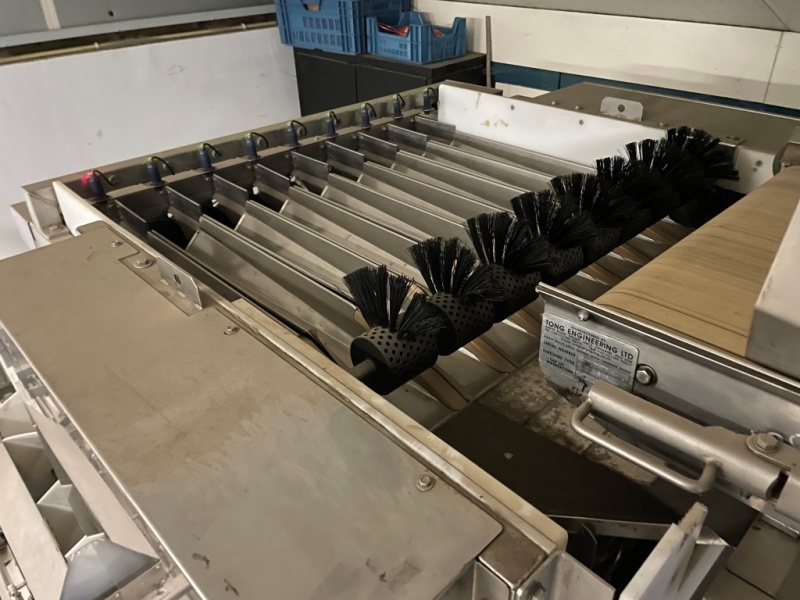 Newtec and Tong Peal weighing and packaging line for punnets • Duijndam ...