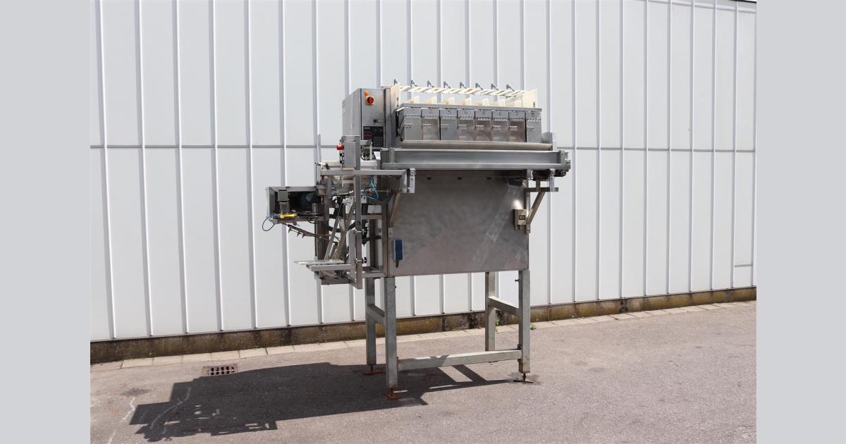 Newtec Type 2008-G45 multihead weighing machine • Duijndam Machines