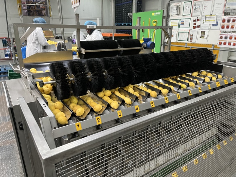 Máquina de pesagem Newtec com dois clippers C-Pack • Duijndam Machines
