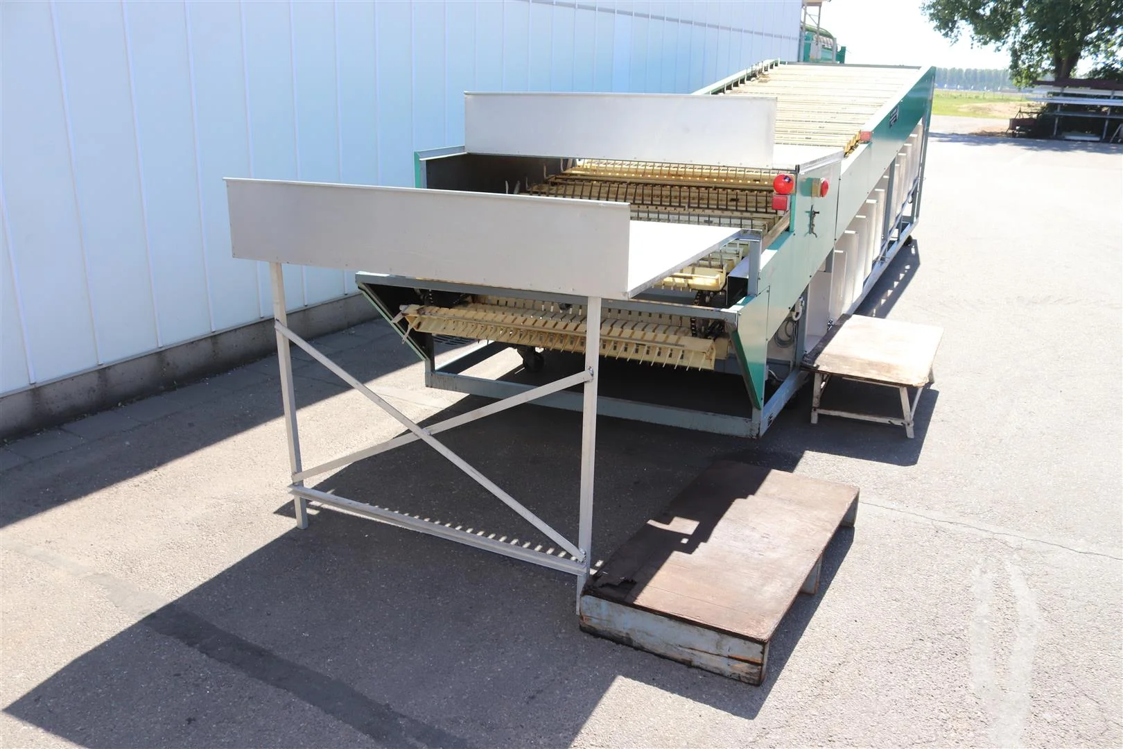Olimex STD12 length sorting machine with 12 exits • Duijndam Machines