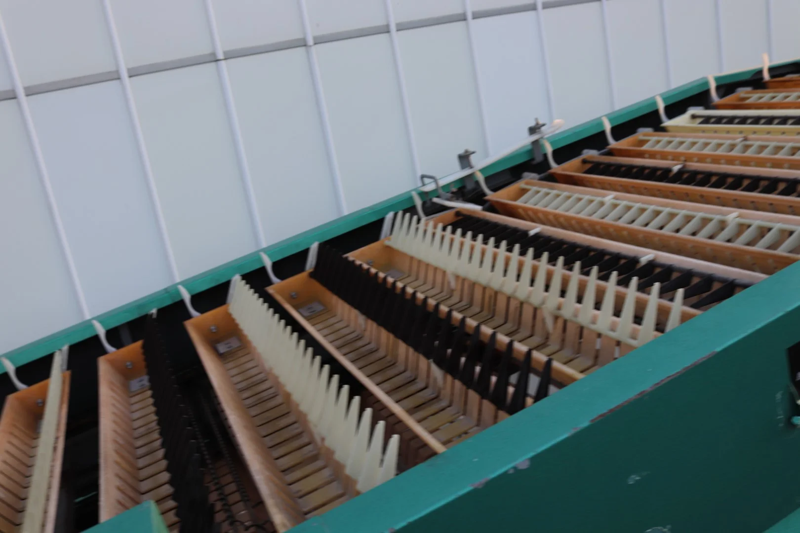 Olimex Super length sorting machine with 6 stations • Duijndam Machines
