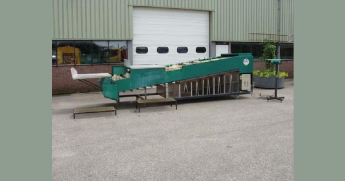 Olimex Super length sorting machine for roses • Duijndam Machines