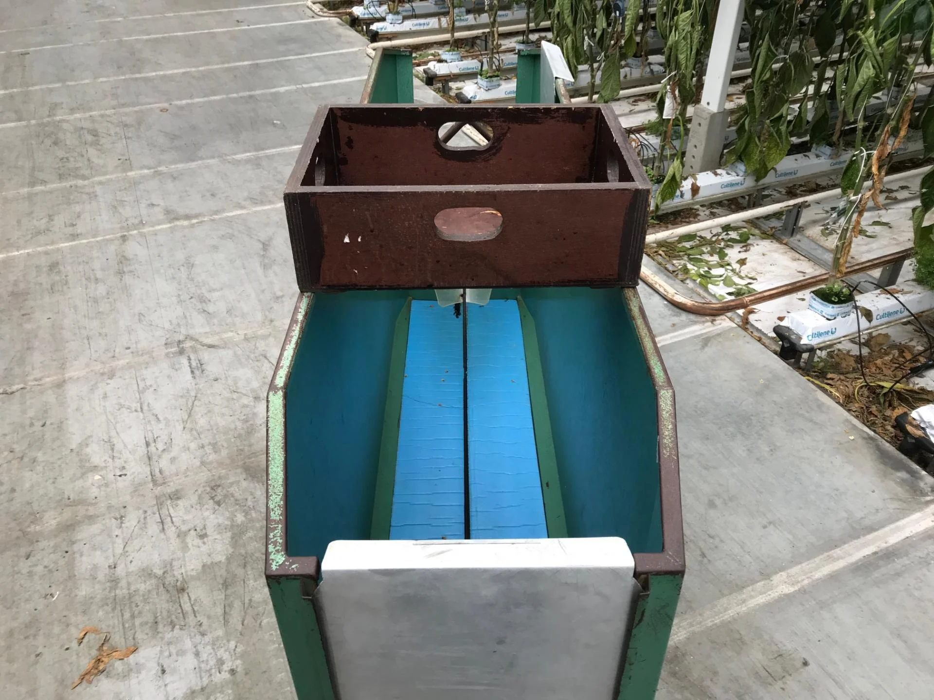 B & S Harvesting containers for peppers • Duijndam Machines