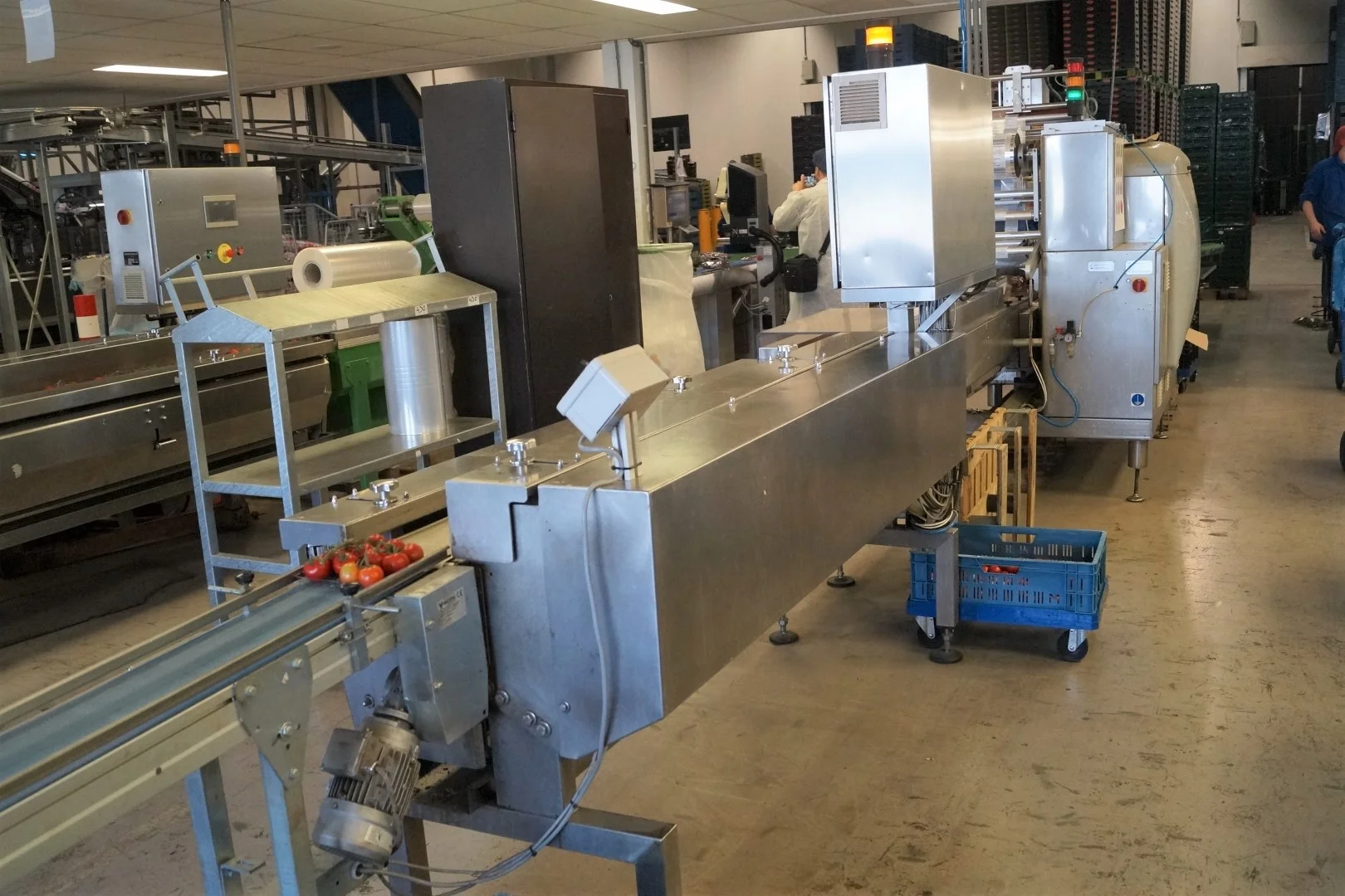 Record Panda E flowpack machine with infeed system • Duijndam Machines