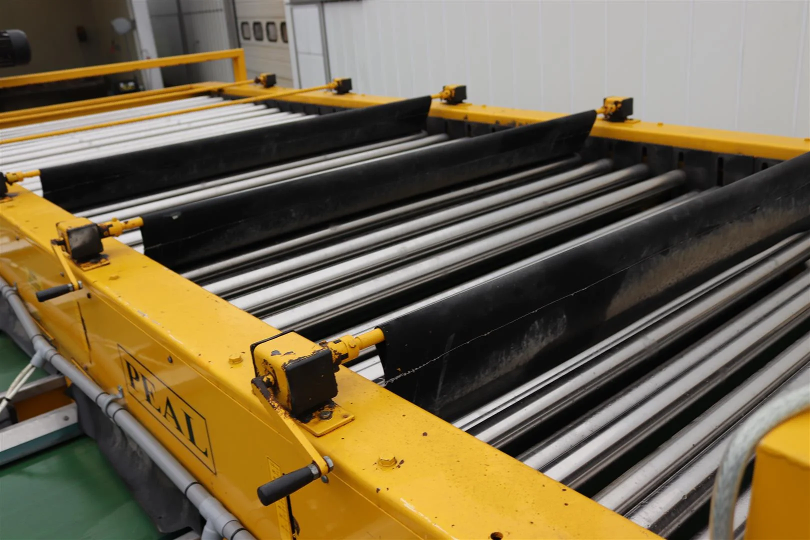 Tong-Peal radial roller grader with 5 conveyors • Duijndam Machines