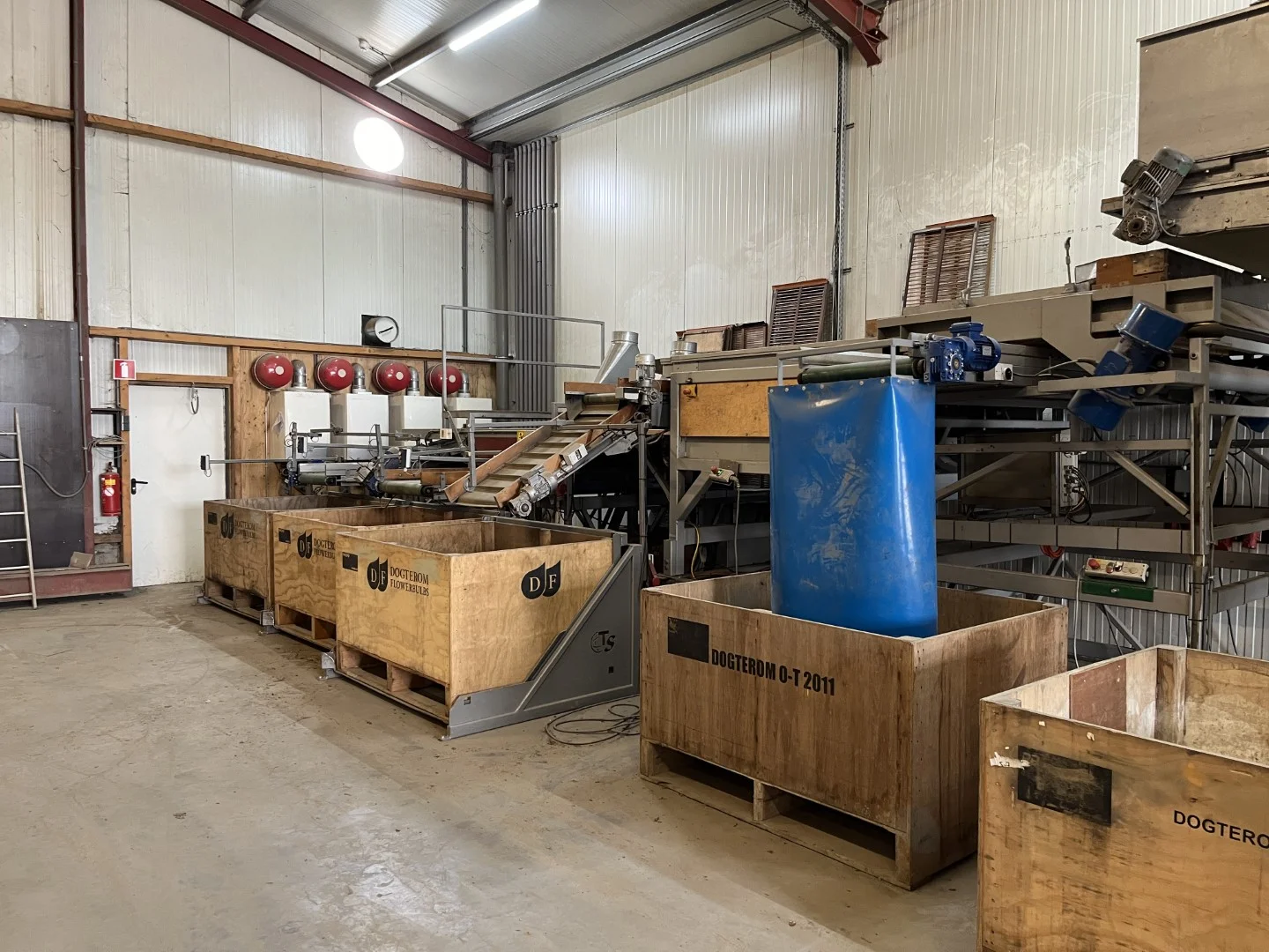 Total Systems Bercomex Potveer sorting machine for flower bulbs and ...