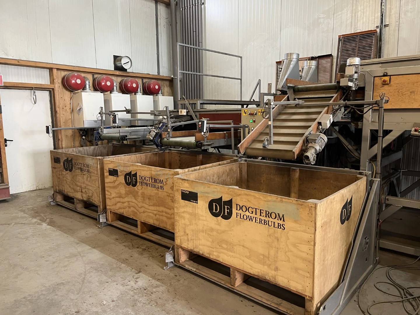 Total Systems Bercomex Potveer sorting machine for flower bulbs and ...