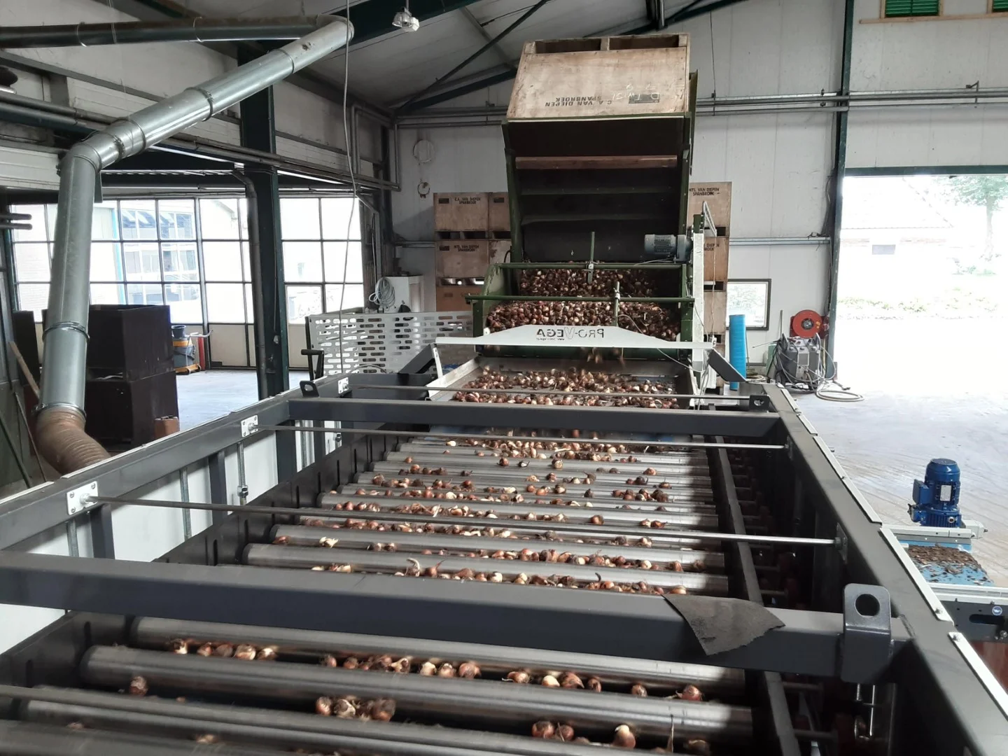 Pro Vega radial roller grader with 4 sortings • Duijndam Machines