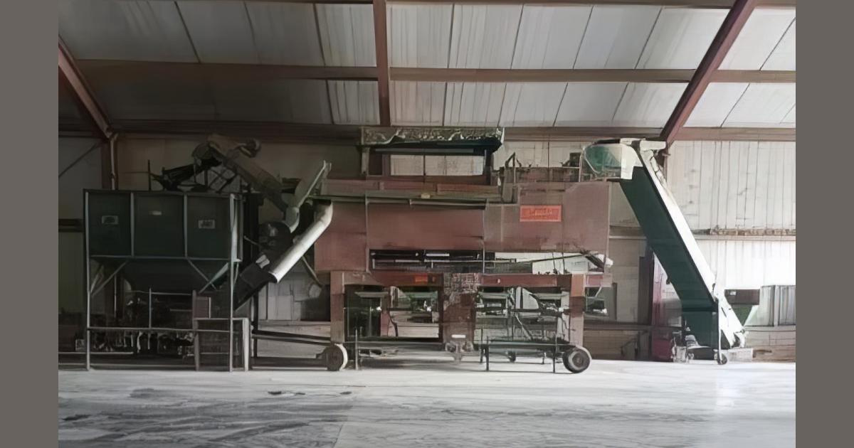 Schouten potato sorting machine with hopper • Duijndam Machines