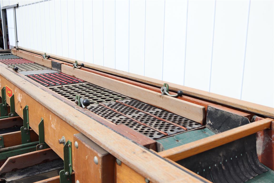 Schouten sorting machine with elevator for brussel sprouts, bulbs ...