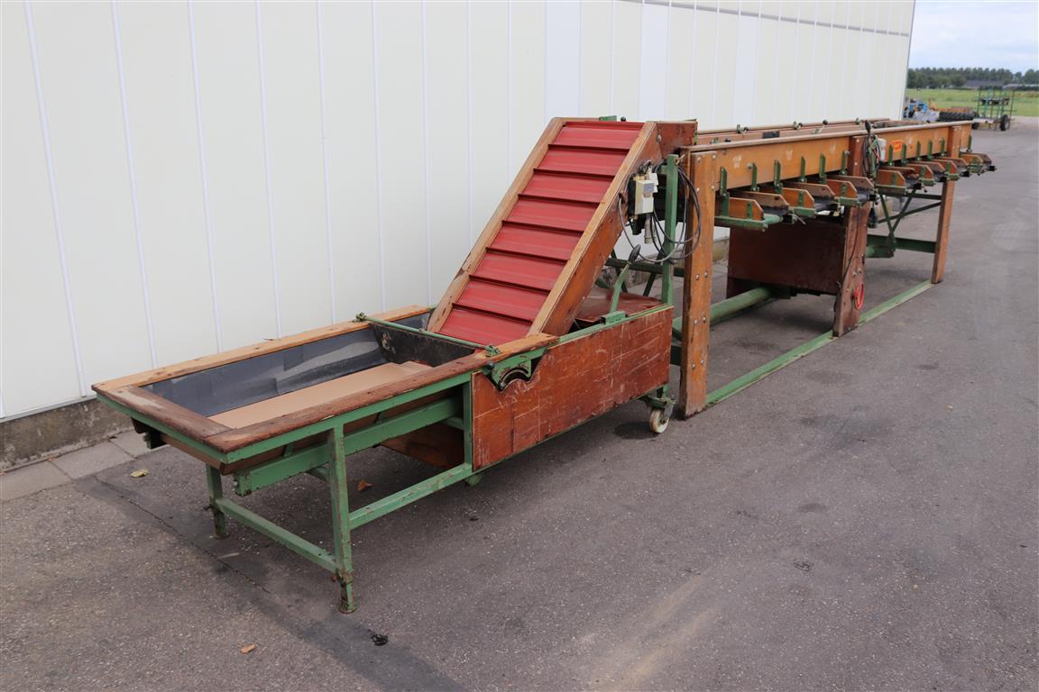 Schouten sorting machine with elevator for brussel sprouts, bulbs ...