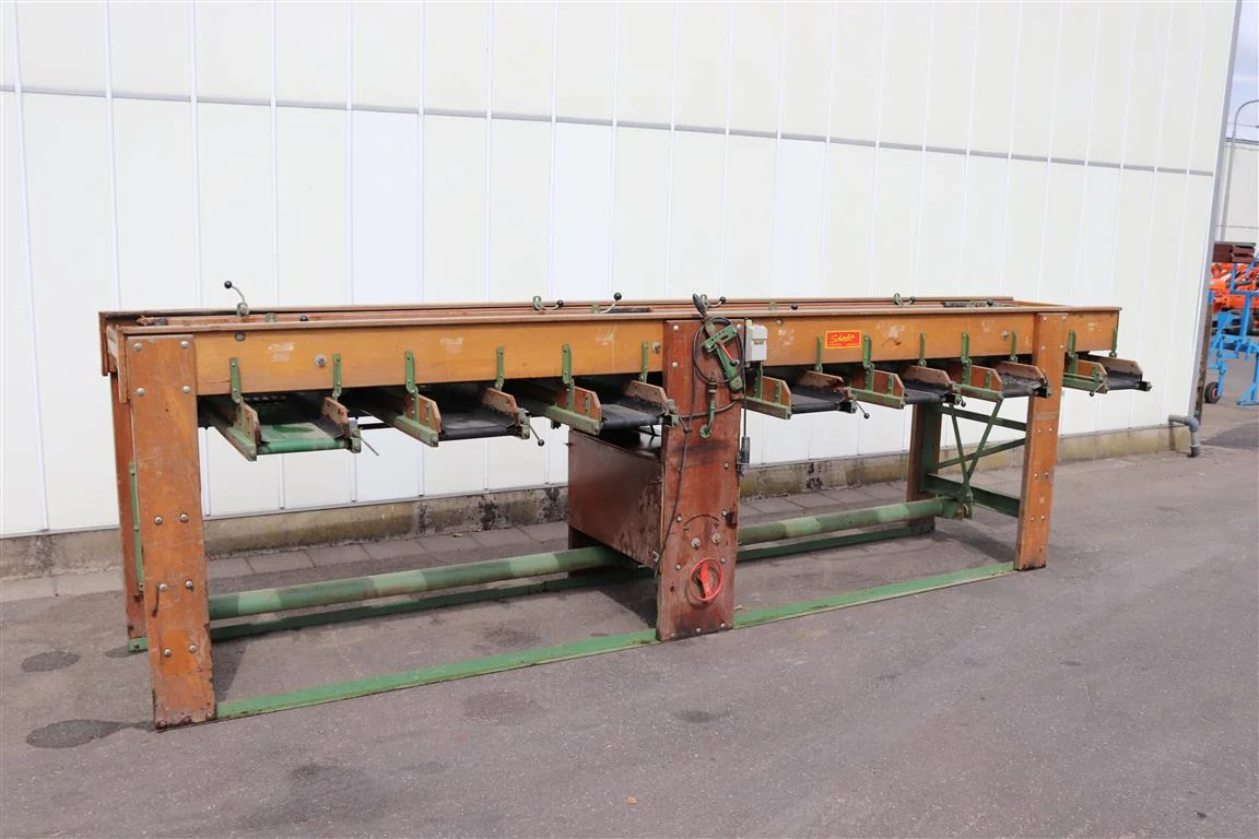 Schouten sorting machine with elevator for brussel sprouts, bulbs ...