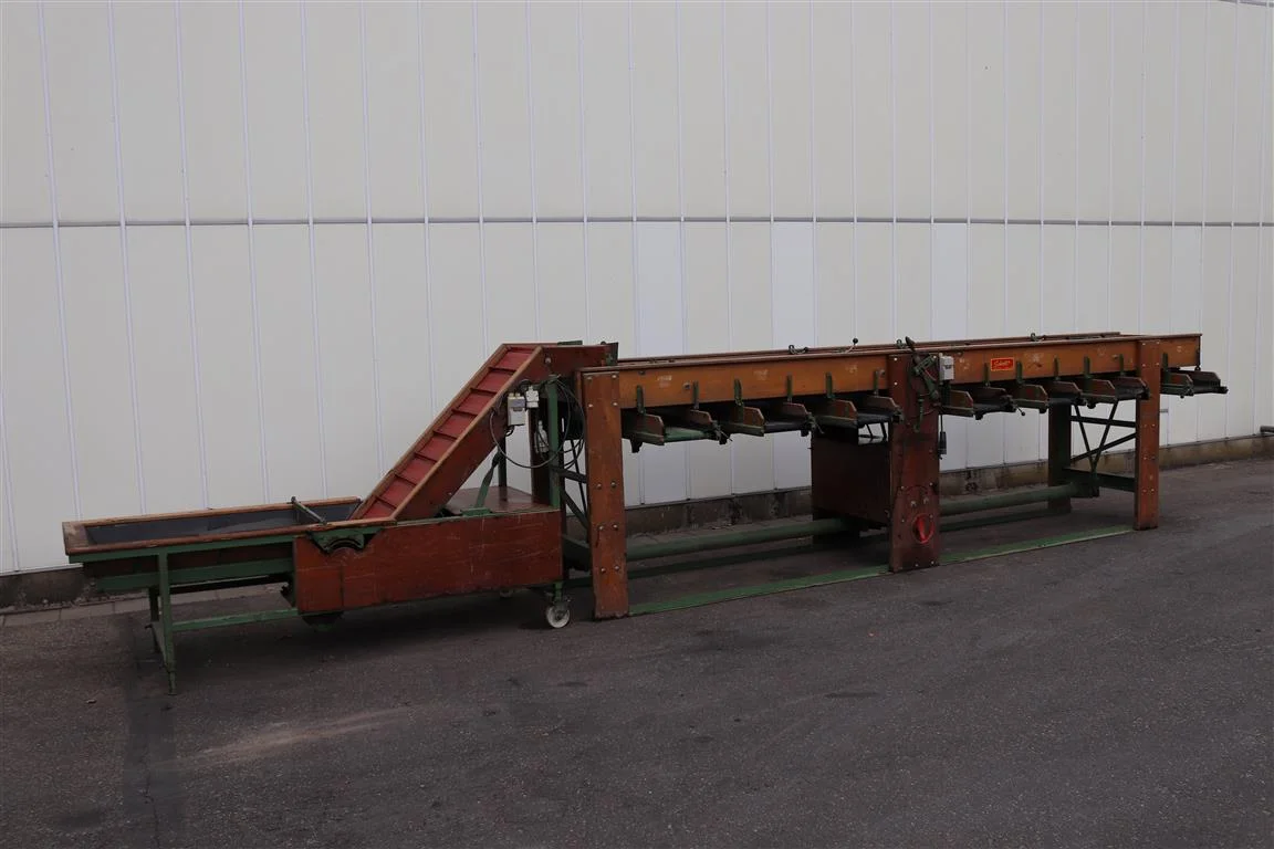 Schouten sorting machine with elevator for brussel sprouts, bulbs ...