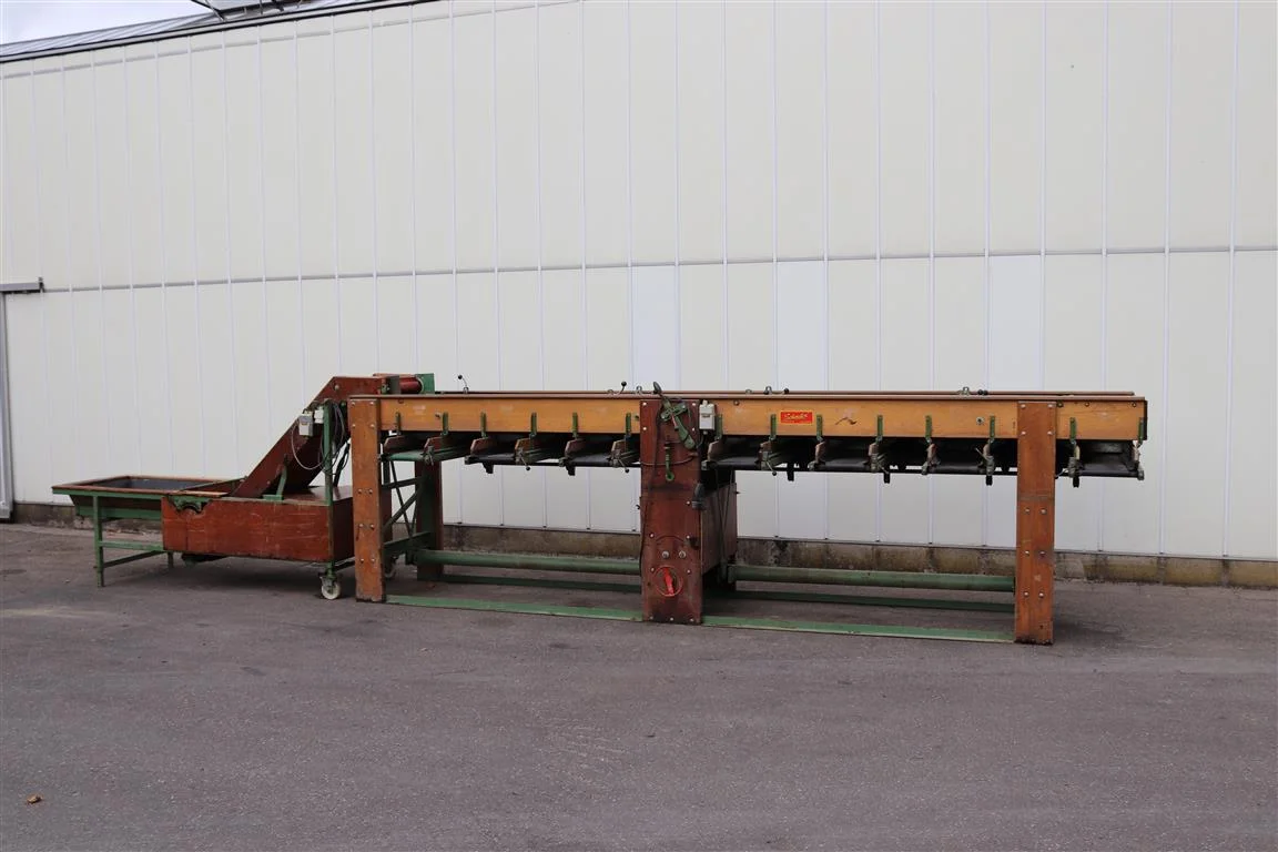 Schouten sorting machine with elevator for brussel sprouts, bulbs ...