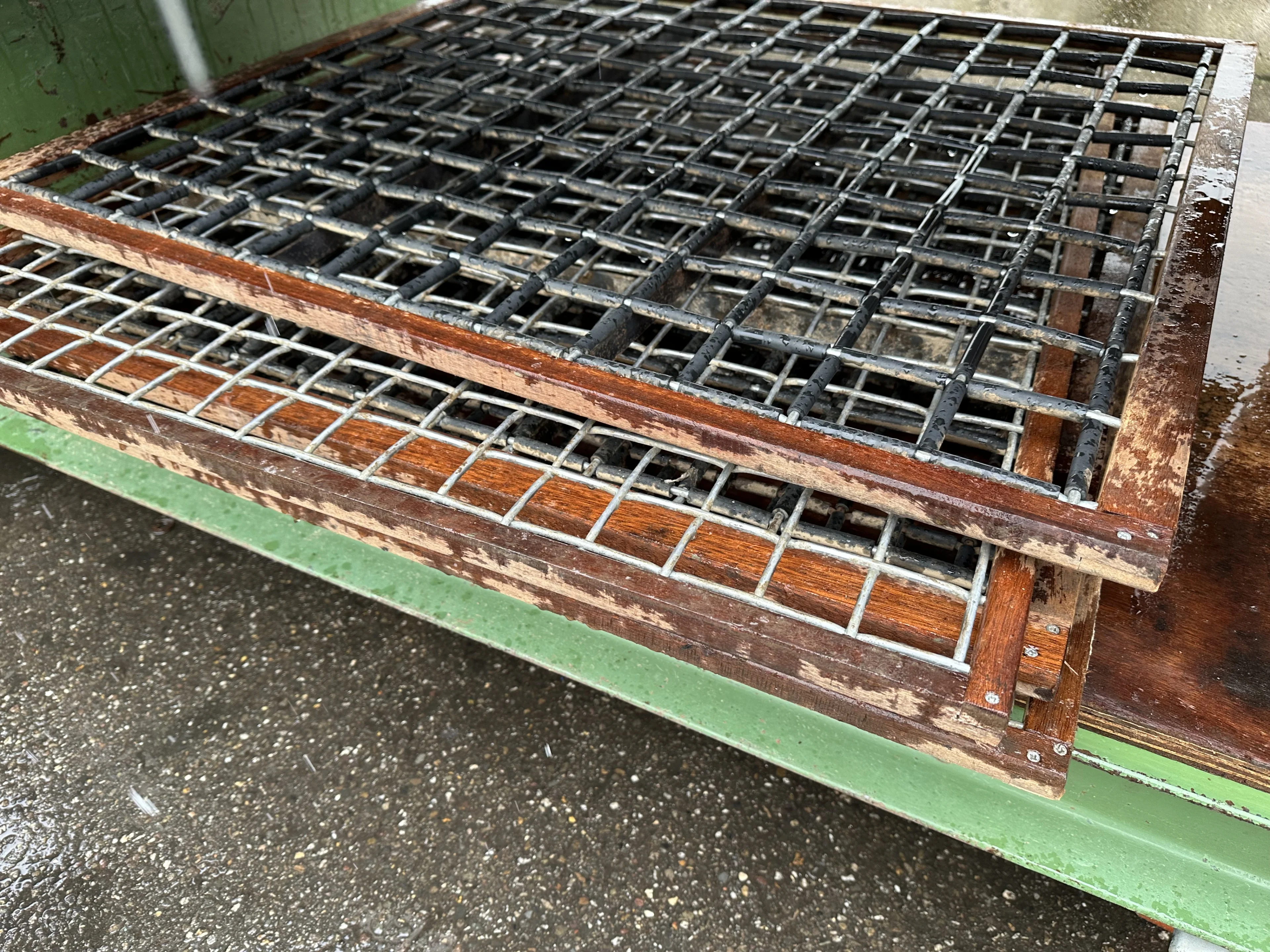 Schouten Trio 90 sorting machine - grader for potatoes and onions ...