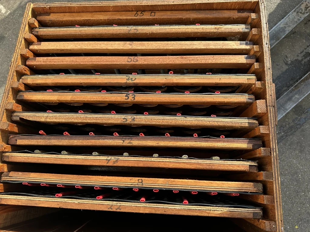 Schouten STR 60 potato sorting machine • Duijndam Machines