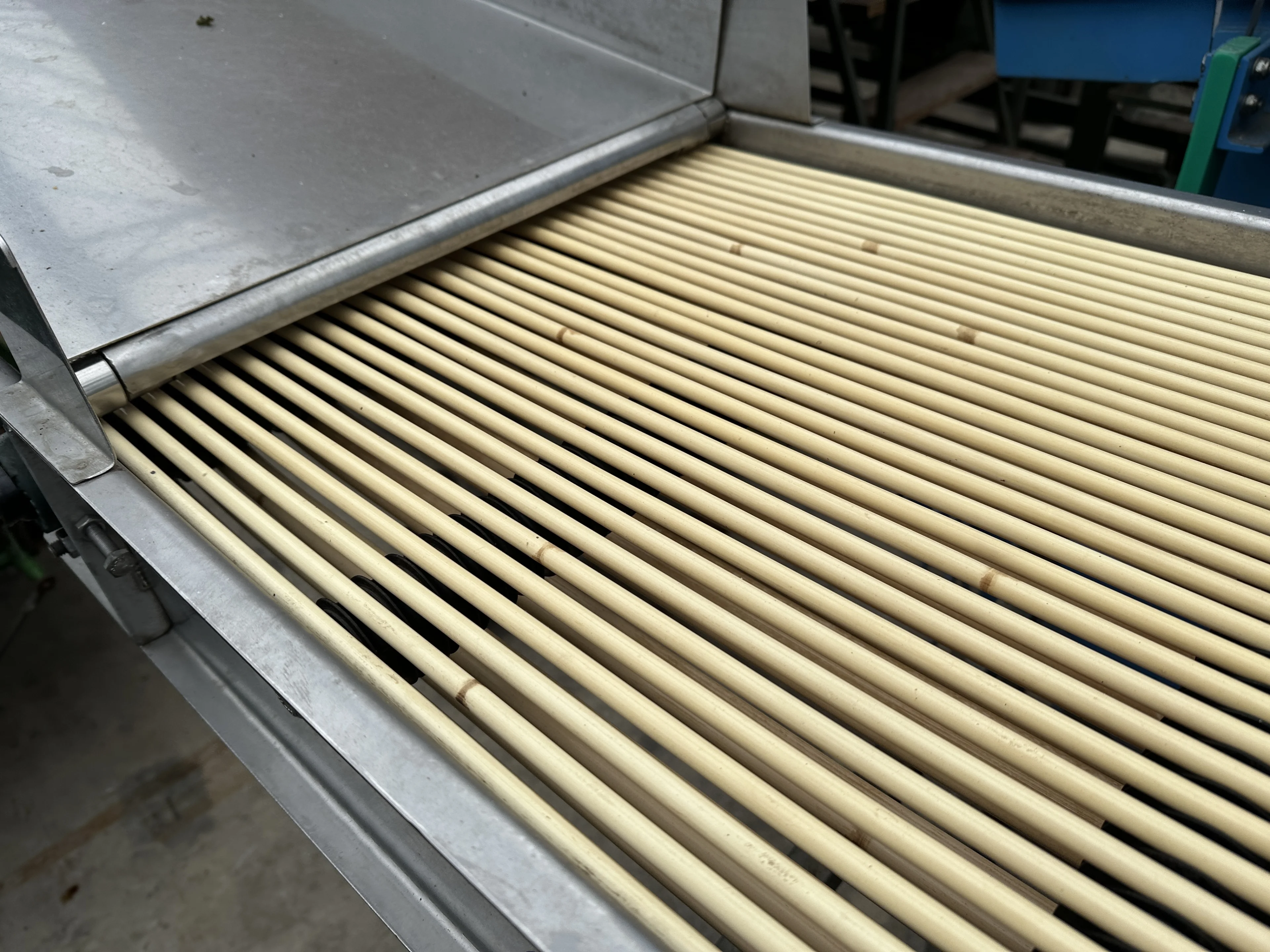 Siegwald Select L cherry sorting machine stainless steel with 5+1 ...