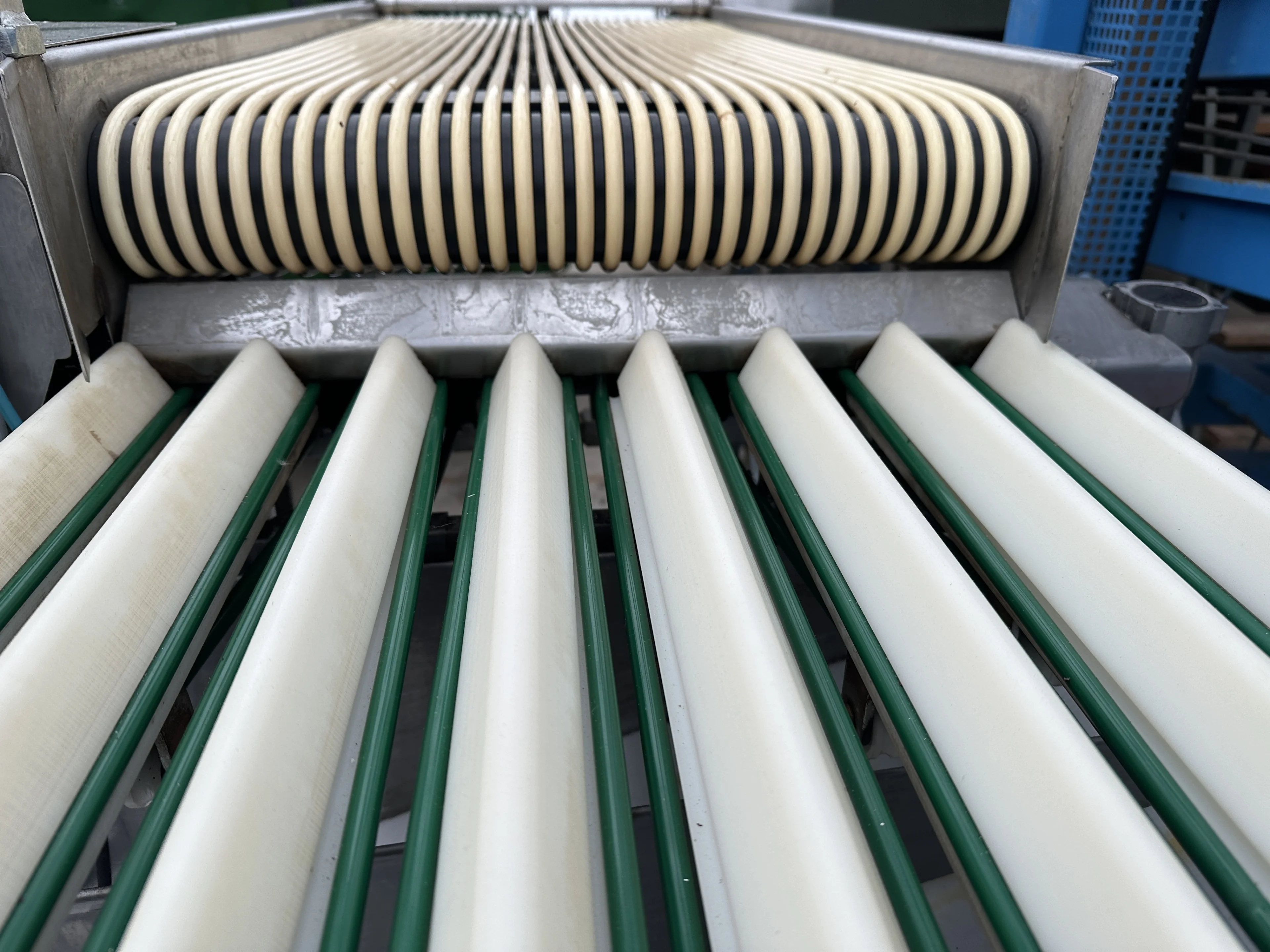 Siegwald Select L cherry sorting machine stainless steel with 5+1 ...