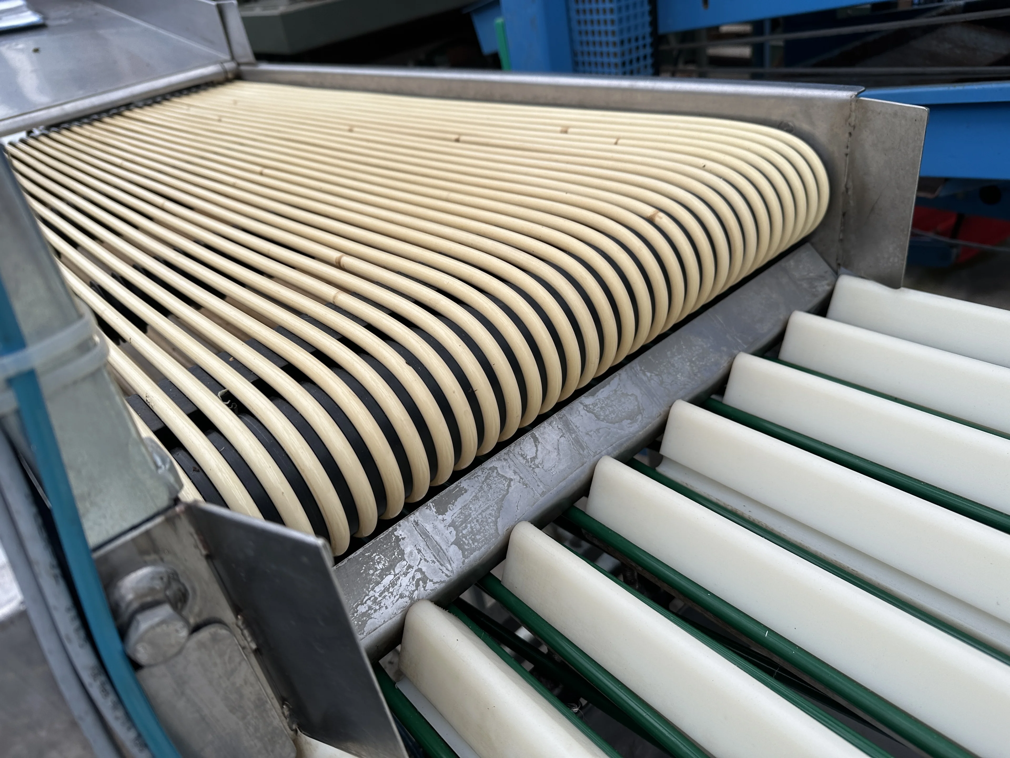 Siegwald Select L cherry sorting machine stainless steel with 5+1 ...