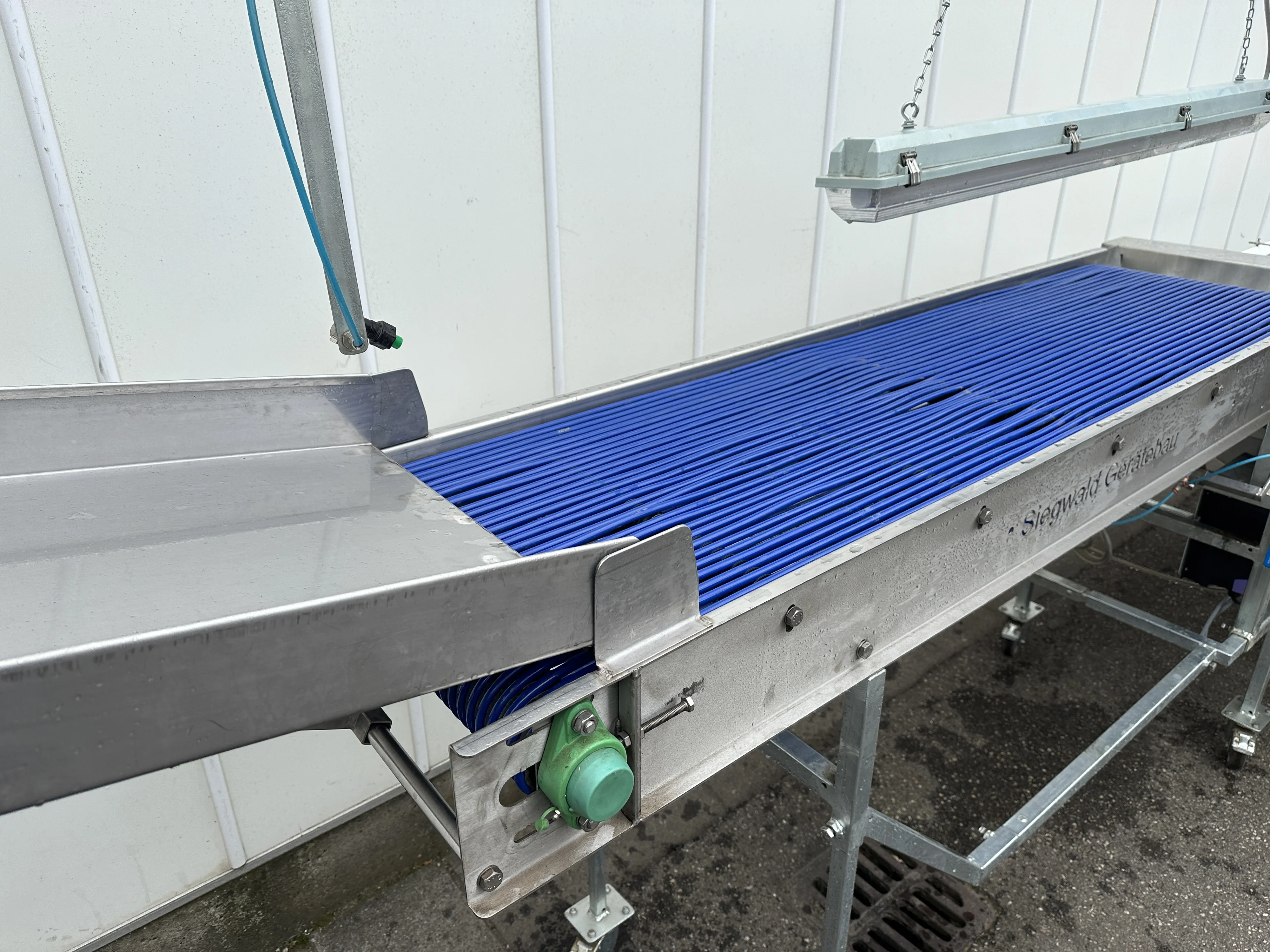 Siegwald Select L cherry sorting machine Stainless steel with 5+1 ...