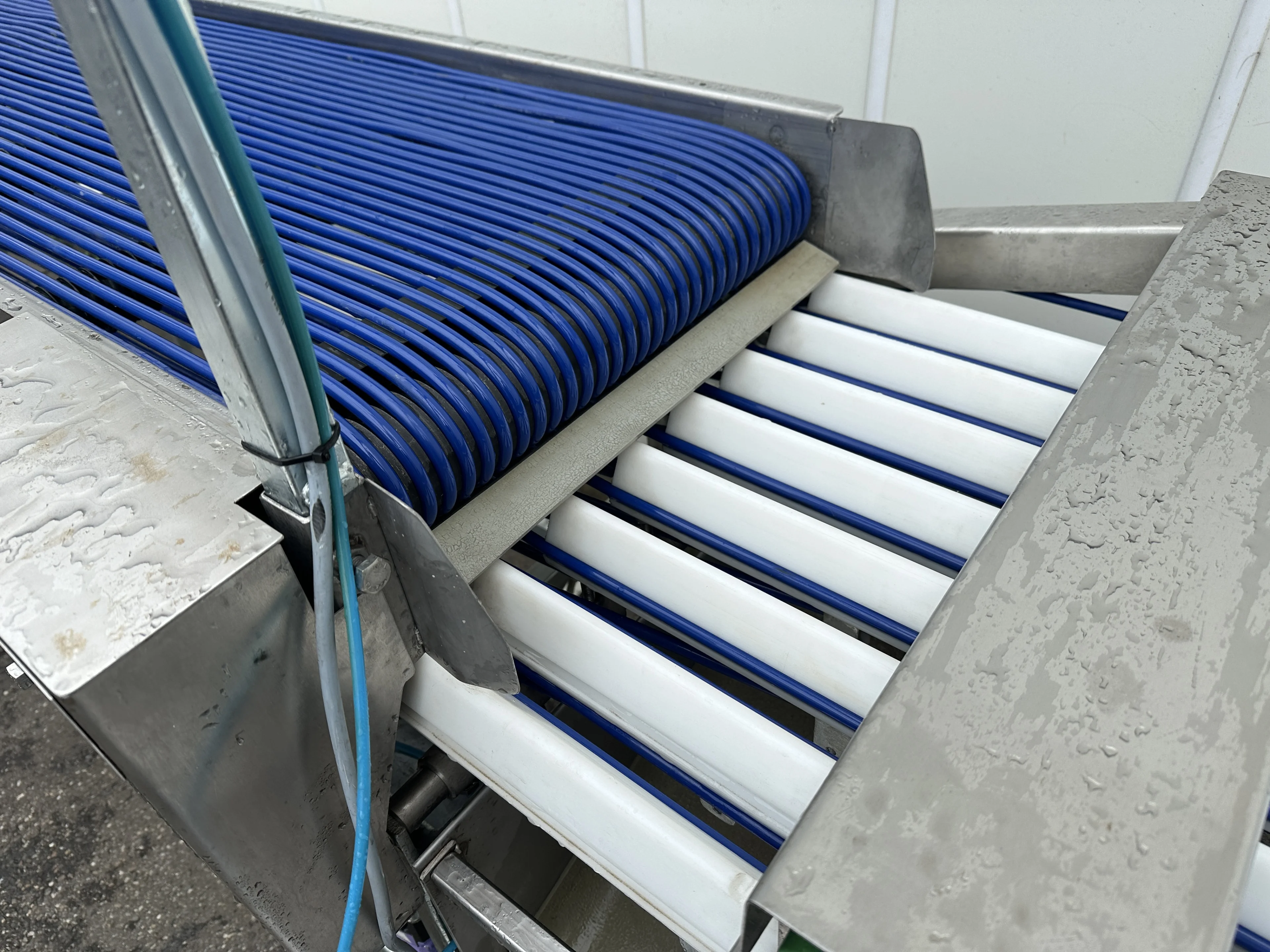 Siegwald Select L cherry sorting machine Stainless steel with 5+1 ...