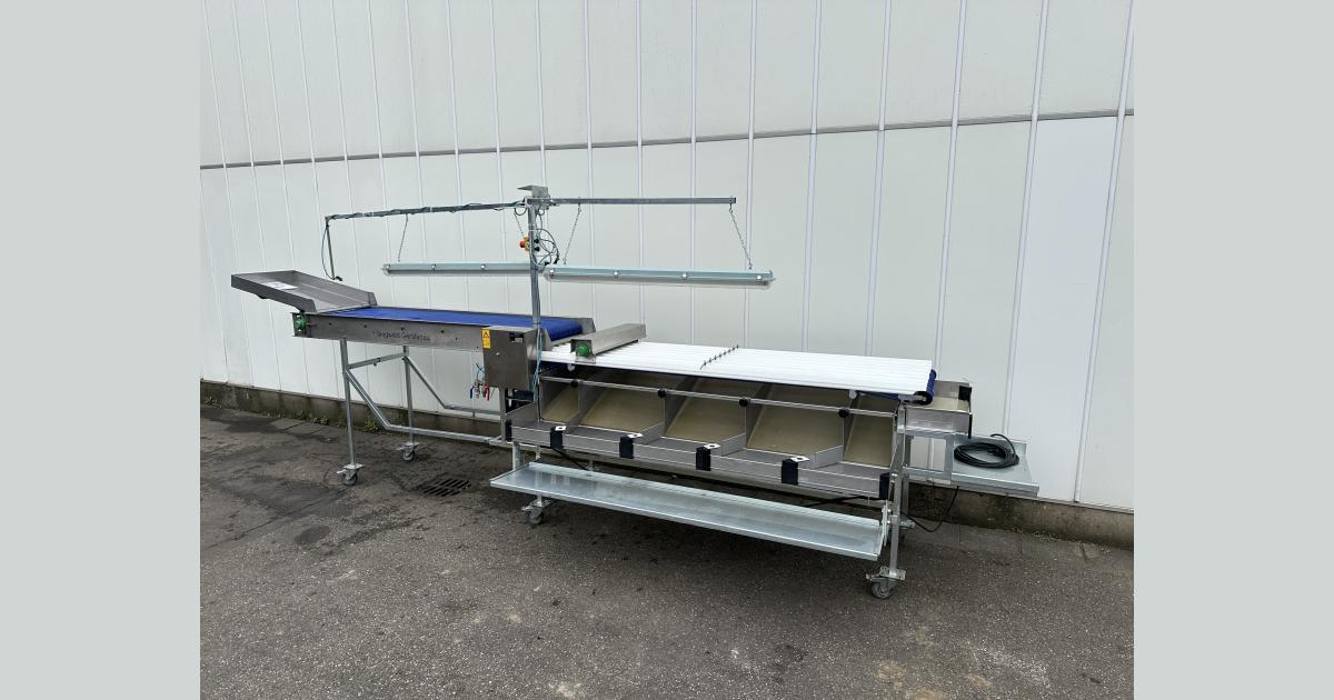 Siegwald Select L cherry sorting machine Stainless steel with 5+1 ...