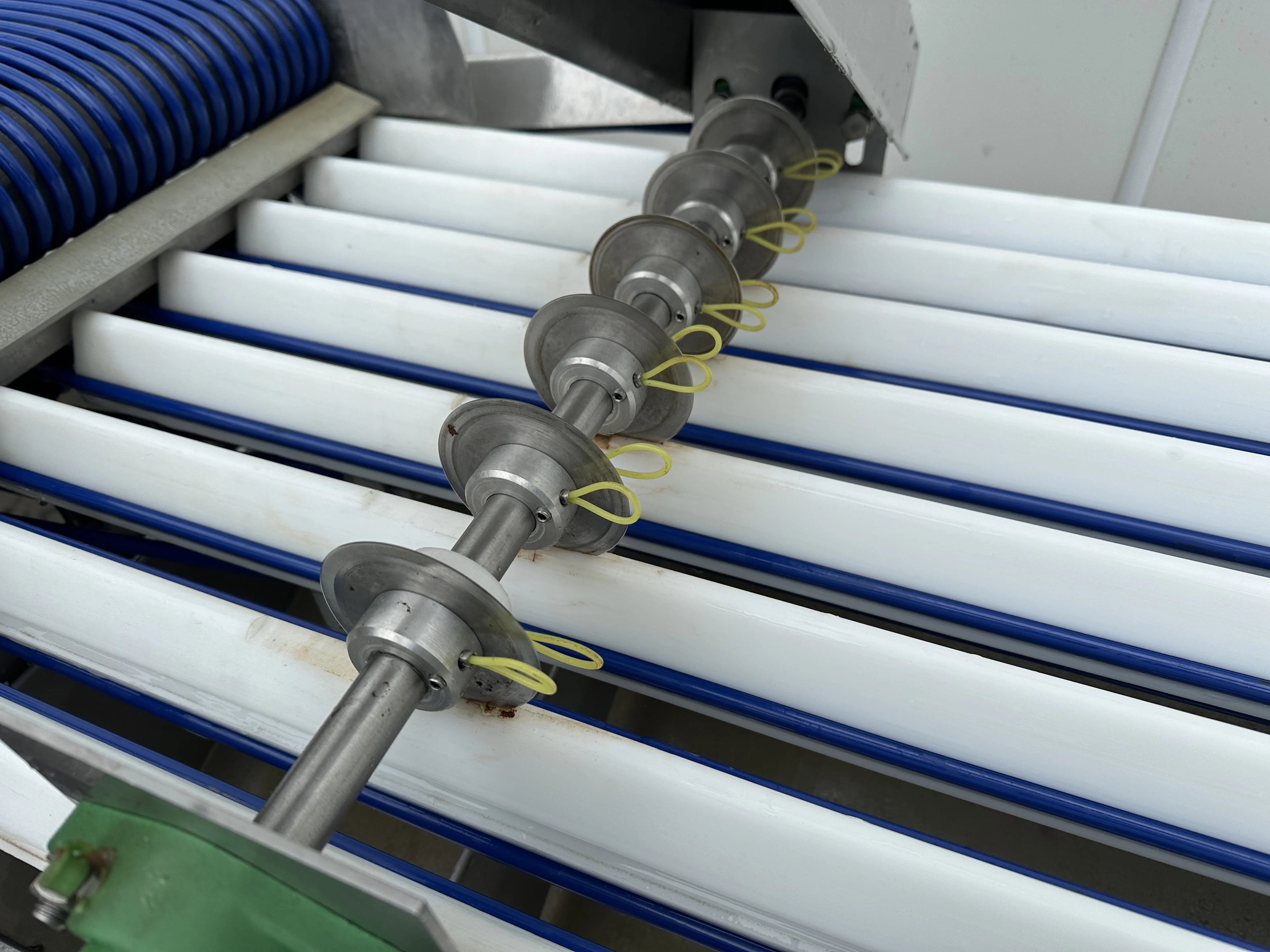 Siegwald Select L cherry sorting machine Stainless steel with 5+1 ...