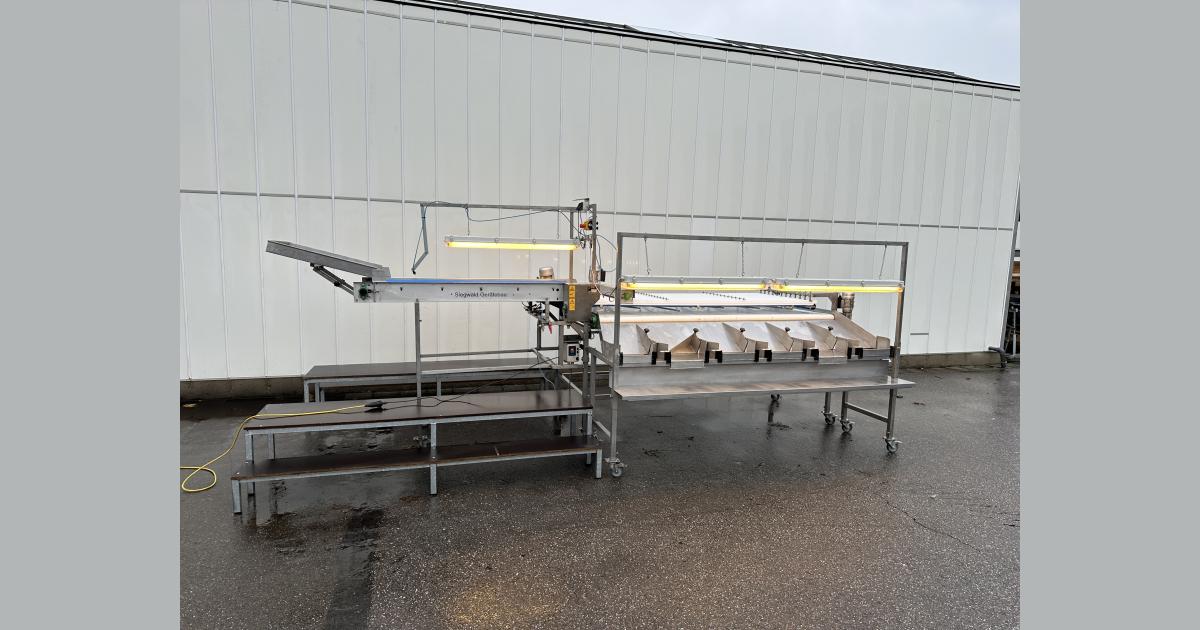 Siegwald SELECTplus cherry sorting machine with stem cutters • Duijndam ...