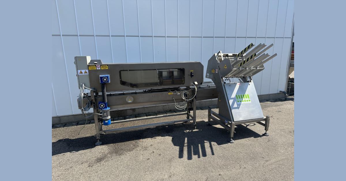 Sorma ACF 115 punnet filling machine with Sorma DP4 115X denester ...