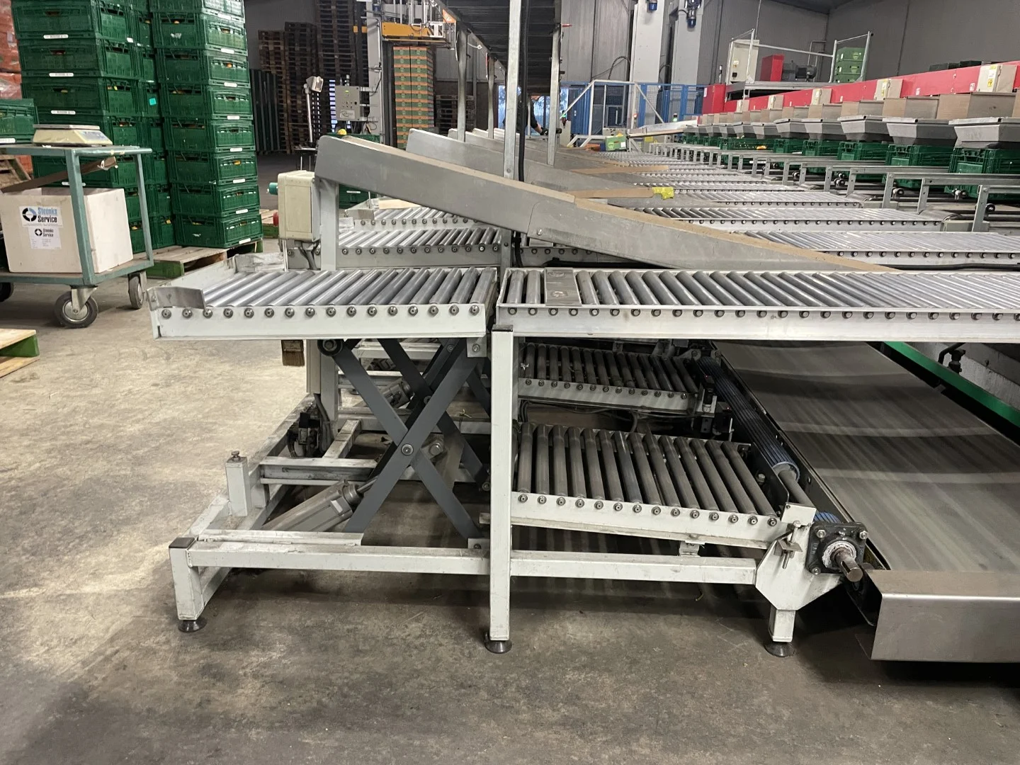 Sorma PAL 108S palletizer with Herdi WIS100SP pallet supply and chain ...